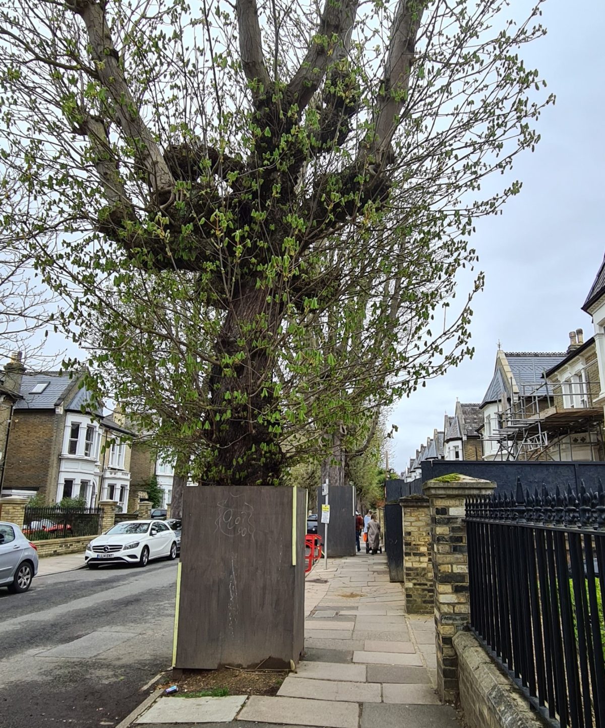 BS5837 inspections and reports, Arboricultural impact assessment